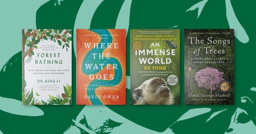 Books that Celebrate the Earth Around Us | Penguin Random House