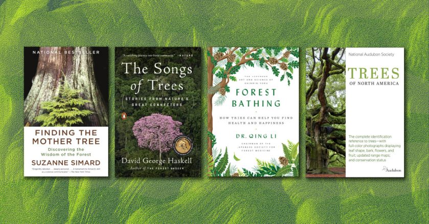 Tree Identification Books | Penguin Random House