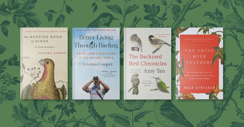 Must-Read Birding Books and Field Guides | Penguin Random House